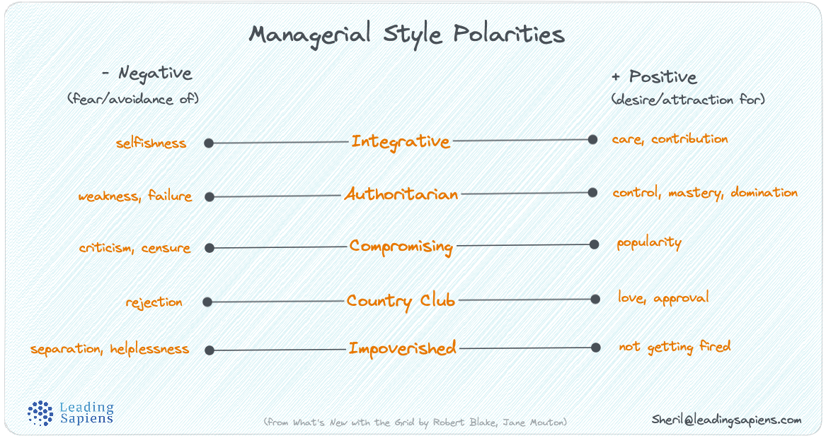 Blake Mouton Leadership Grid: The 5 Leadership Styles